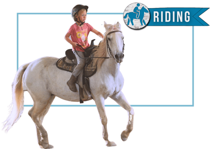 Niagara's Horseback Riding & Family Fun First Farm! - Autumn's Gate